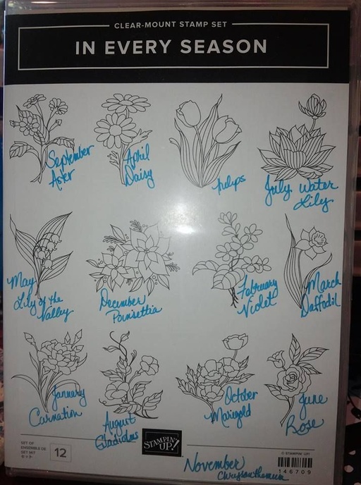 In Every Season Stamp Set - Ink and Ingenuity